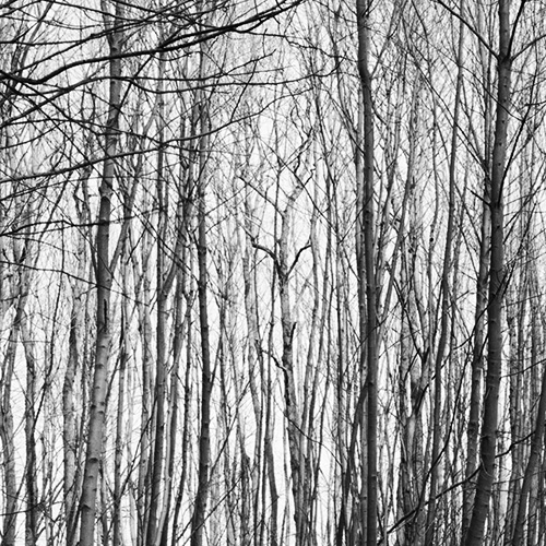 Anne Heinlein – Der dritte Blick